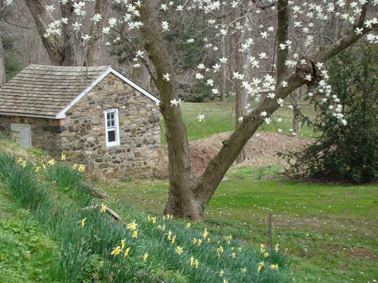 National Public Gardens Day at Tyler Arboretum