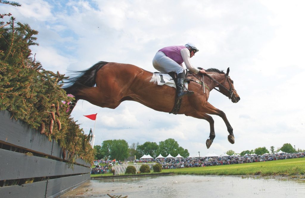 2017 Steeplechase Winners - The Hunt Magazine