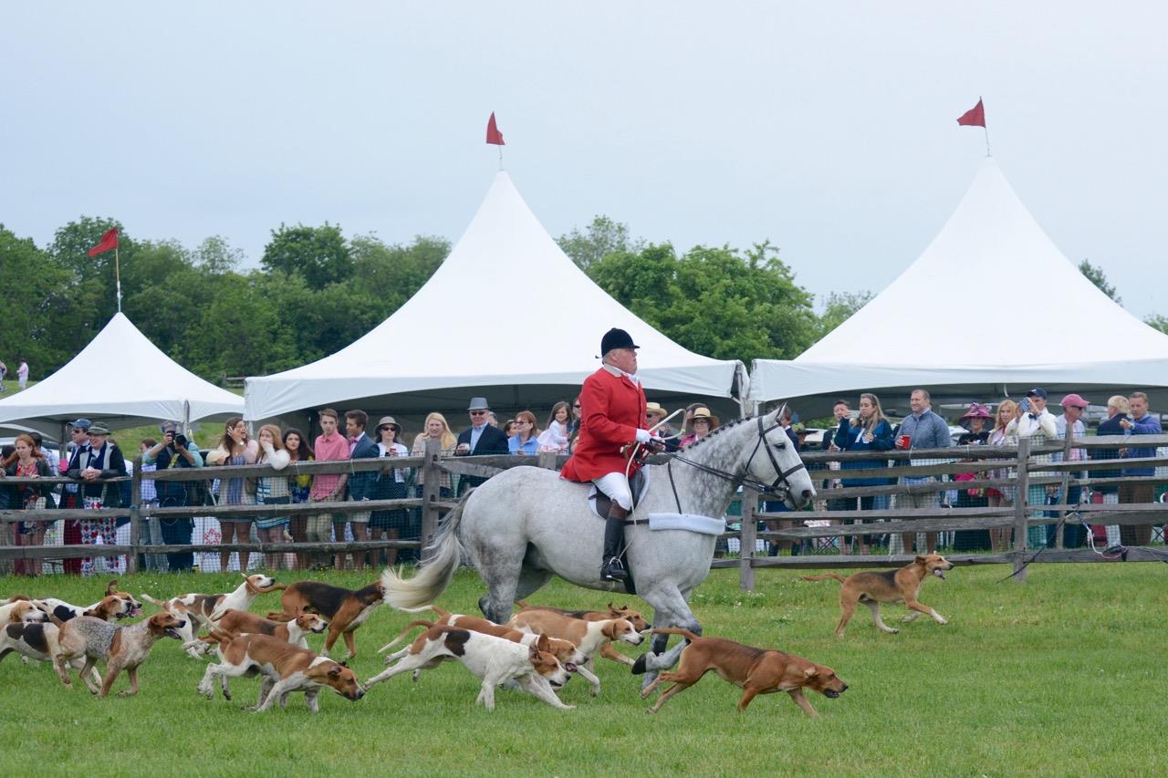 10 Things to do in the Brandywine Valley this May - The Hunt Magazine