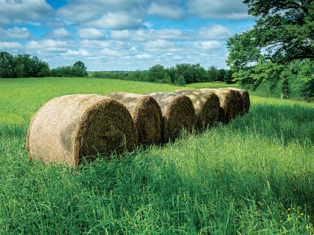 At Coverdale Farm Preserve, the Delaware Nature Society Embraces ...