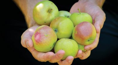 Cider 101: Old Stone Cider's Cider Maker on What Locals Should Know