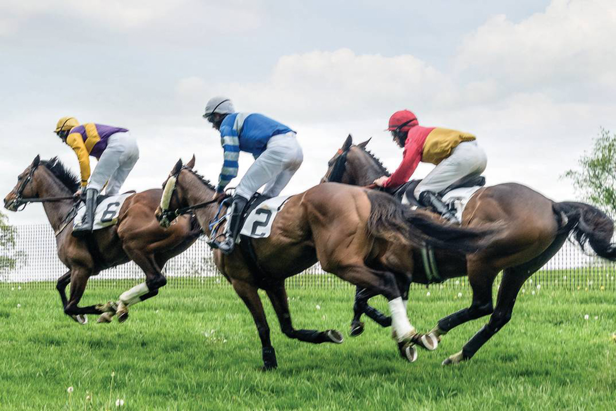 Your Guide to the Main Line Area's Races in 2022 - The Hunt Magazine