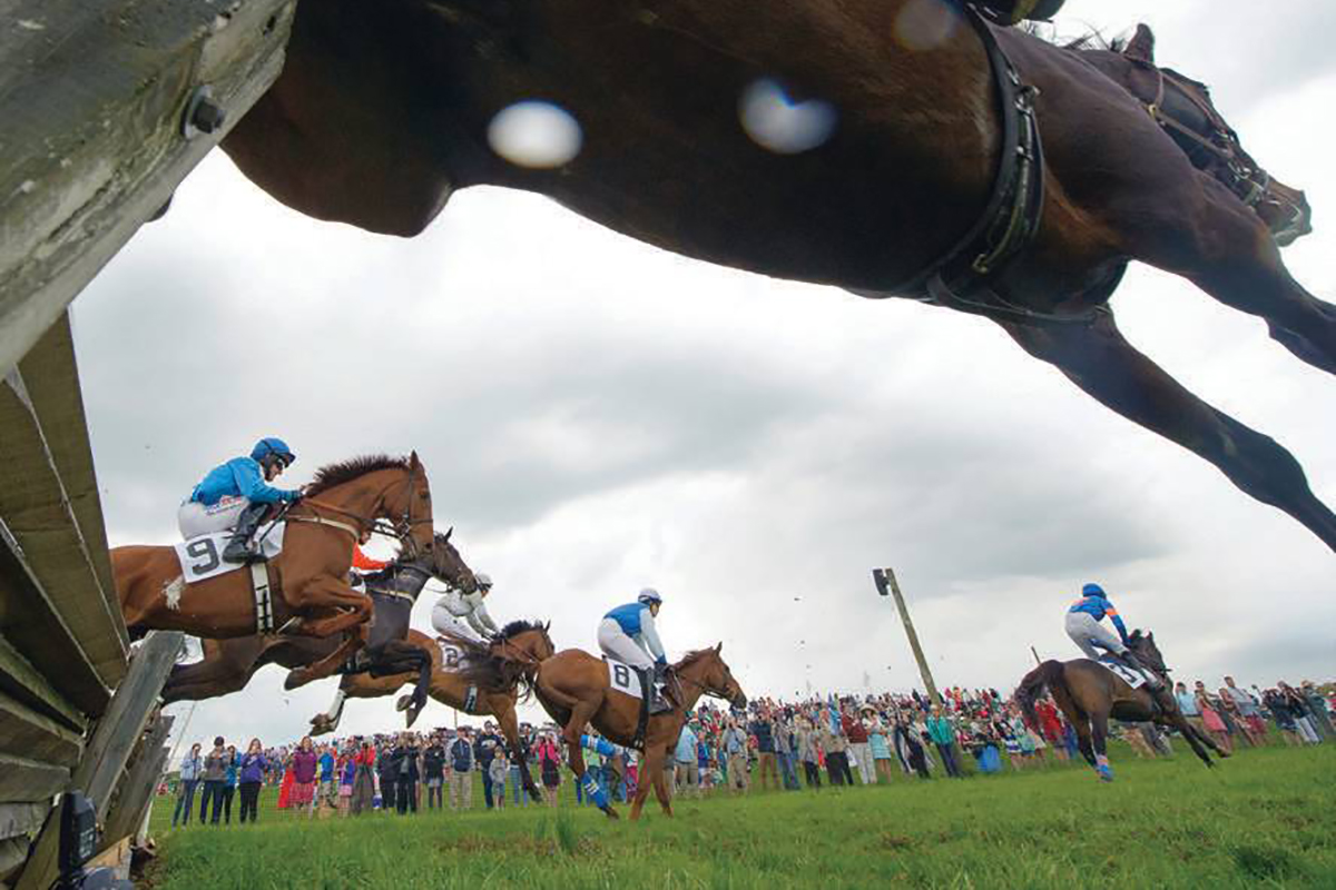 A Steeplechase Glossary: Common Verbiage for Local Races