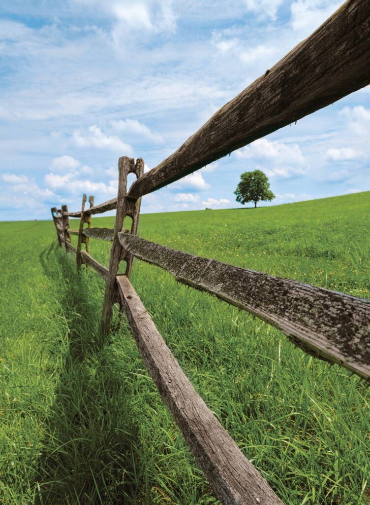 Brandywine Conservancy Wins Battle for Historic Skirmish Hill