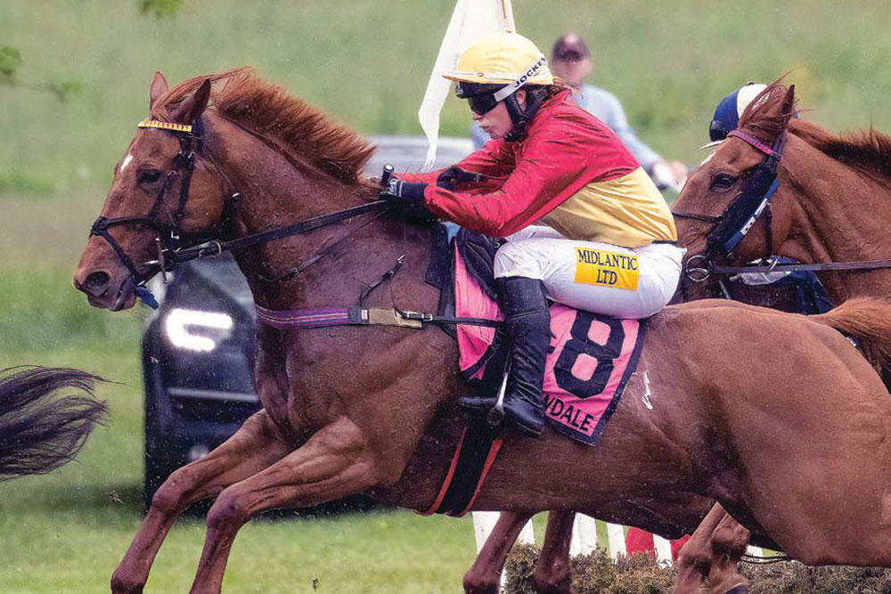 Your Guide to the Races Around the Brandywine Valley
